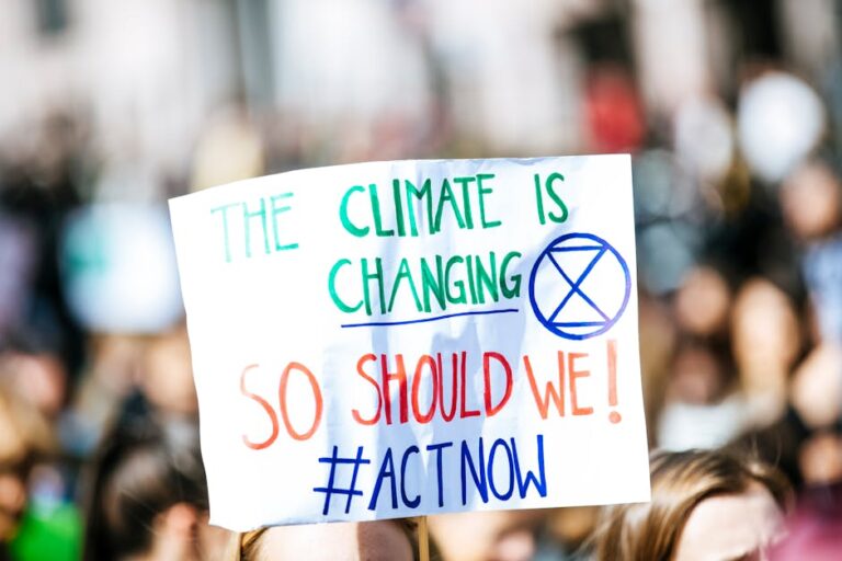 Raising Awareness Through Action: Fueling Social Change and Activism ...
